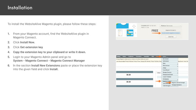 WebsiteAlive Integration: Magento | PPT