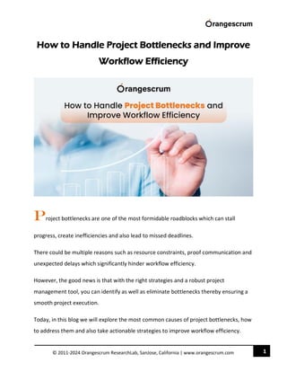 How to Handle Project Bottlenecks and Improve Workflow Efficiency | PDF