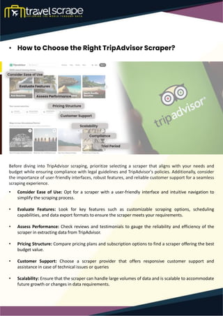 How to Harness the Power of TripAdvisor Scraper for Web Scraping Travel ...