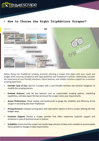 How to Harness the Power of TripAdvisor Scraper for Web Scraping Travel ...