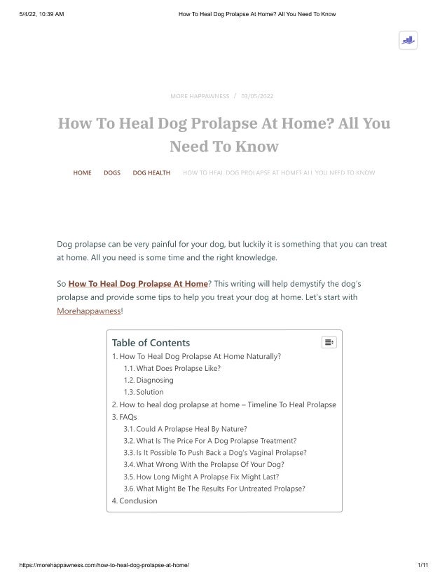 How To Heal Dog Prolapse At Home_ All You Need To Know.pdf