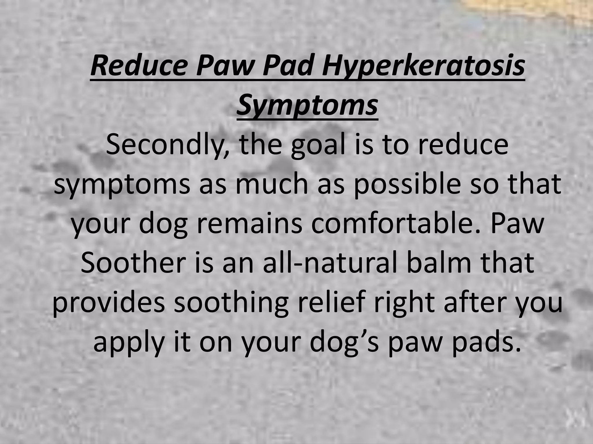 How to heal paw pad hyperkeratosis | PPTX