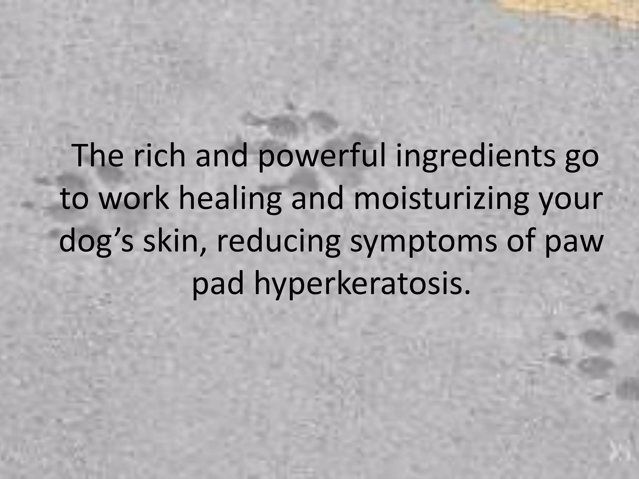 How to heal paw pad hyperkeratosis | PPTX