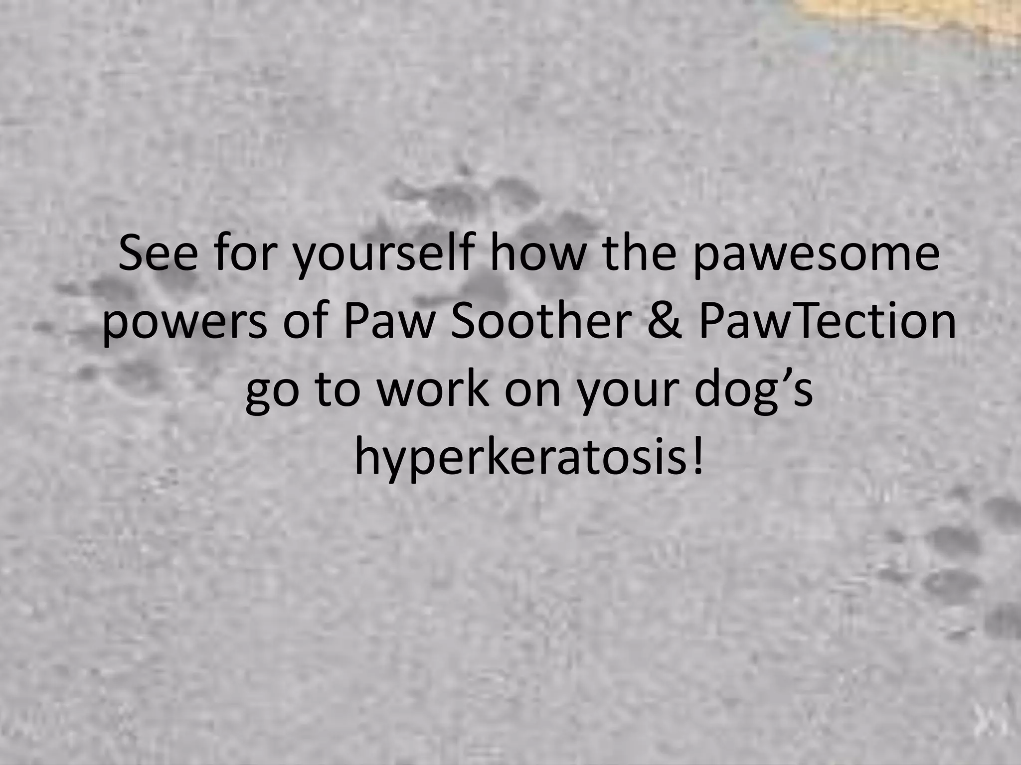 How to heal paw pad hyperkeratosis | PPTX