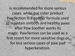 How to heal paw pad hyperkeratosis | PPTX