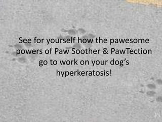 How to heal paw pad hyperkeratosis | PPTX