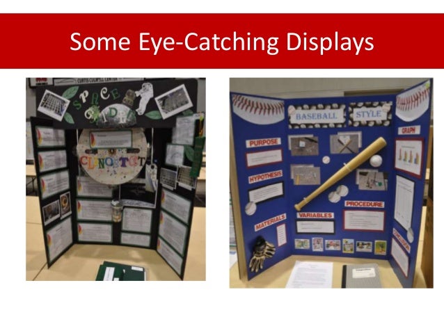 How to help your child win a science fair flh