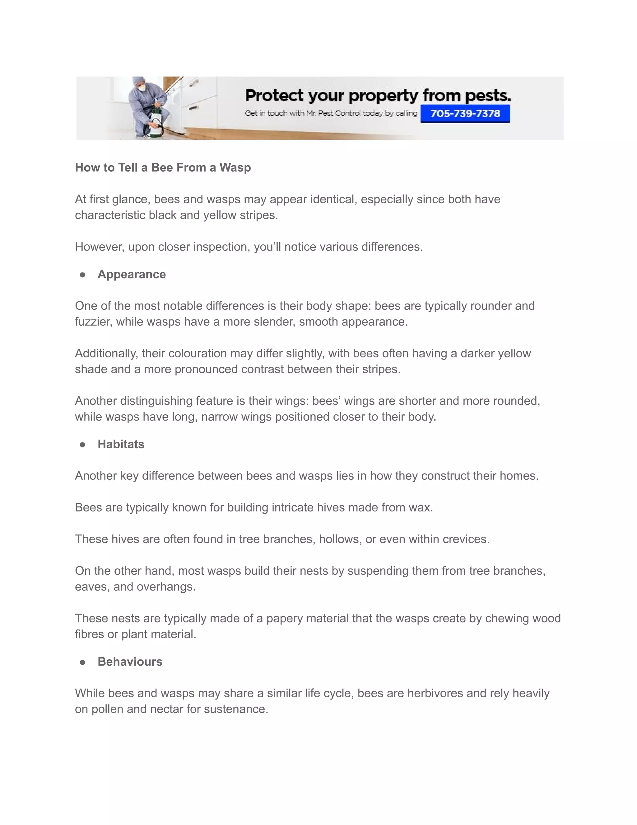 How to Identify Bees and Wasps.pdf