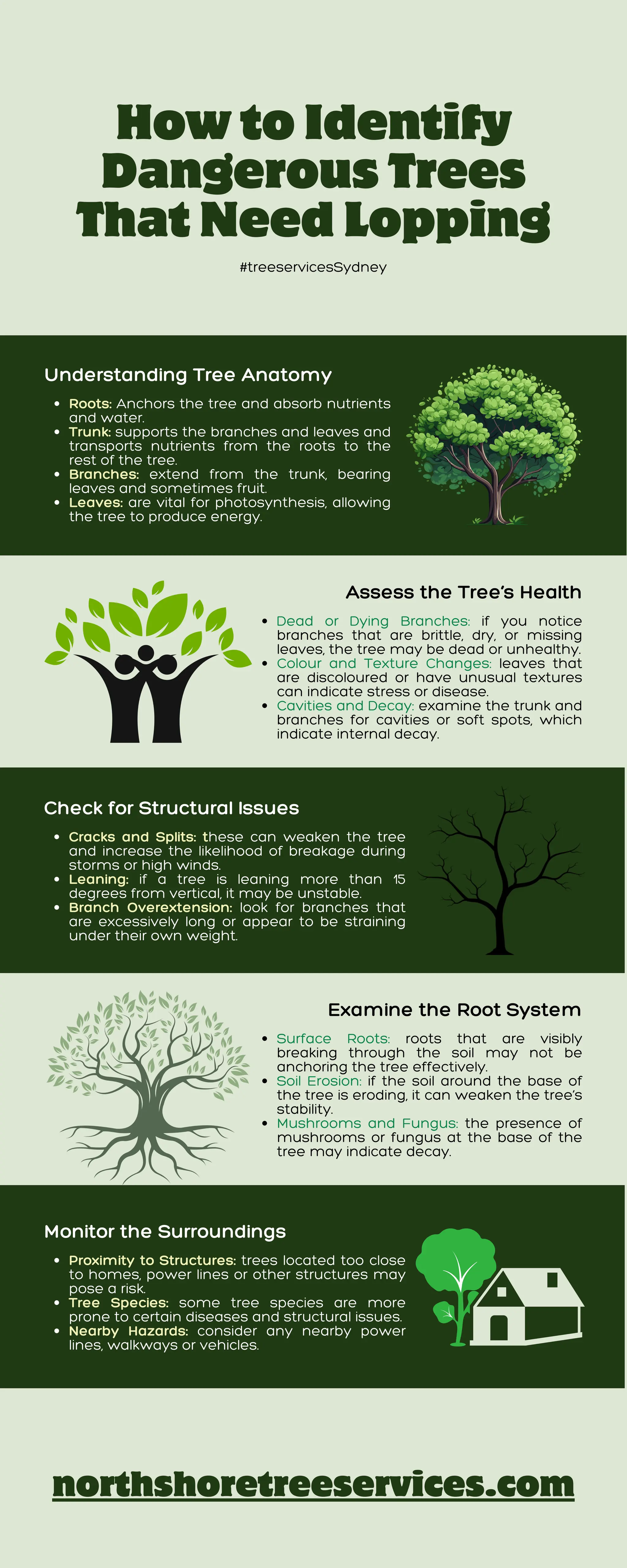 How to Identify Dangerous Trees That Need Lopping.pdf