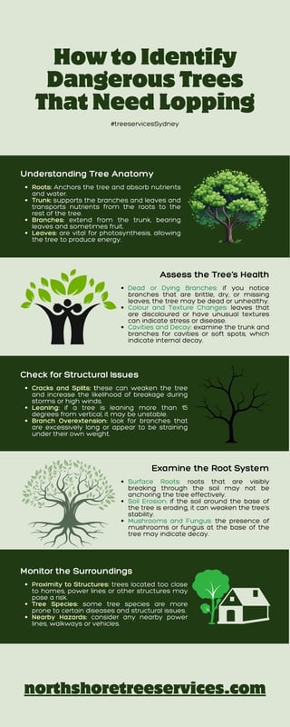 How to Identify Dangerous Trees That Need Lopping.pdf
