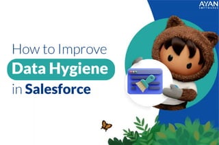 How to Improve Data Hygiene in Salesforce | PDF