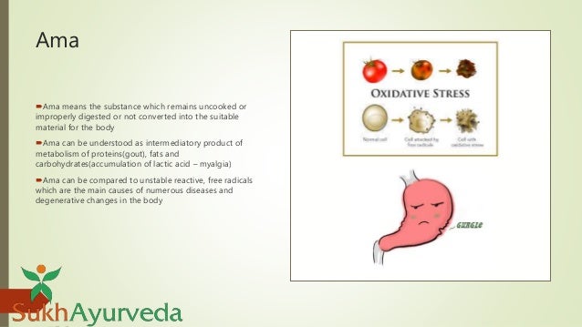 How to improve digestion through ayurveda | PPTX