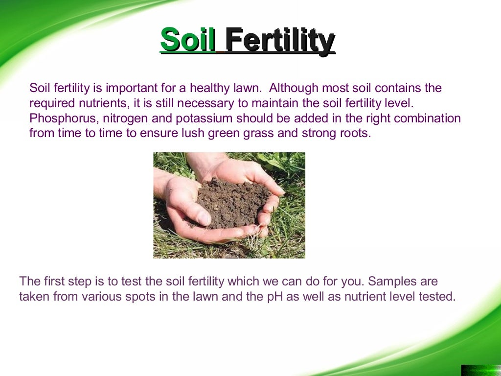 How To Improve Fertility Of Soil how-to-improve-fertility-of-soil