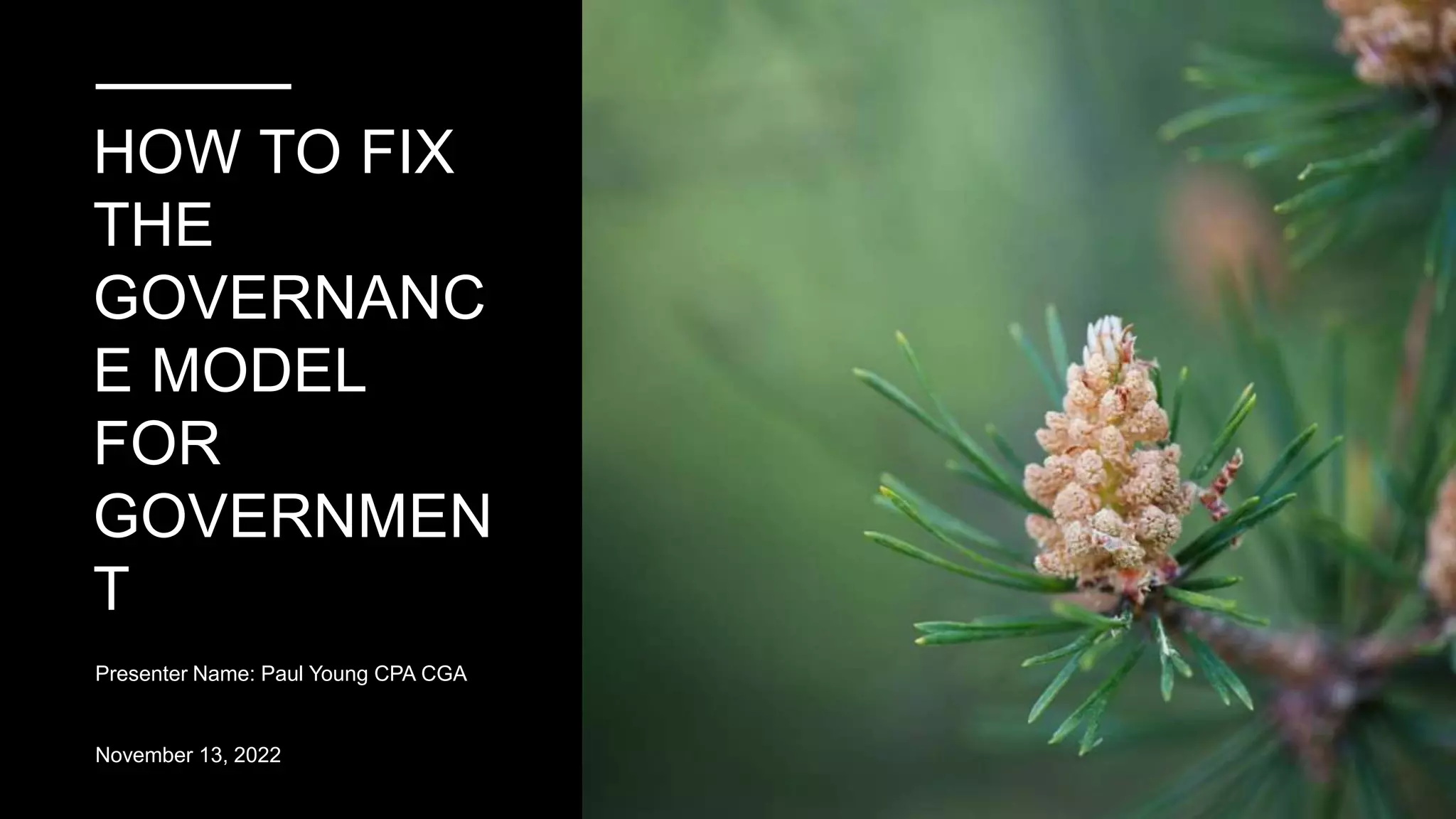 How to improve the Governance Model for the Public Sector - November ...