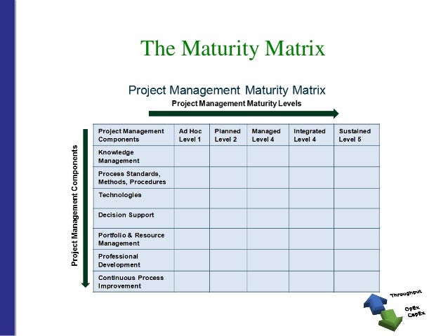 How To Improve Your Organization's PPM Maturity Level