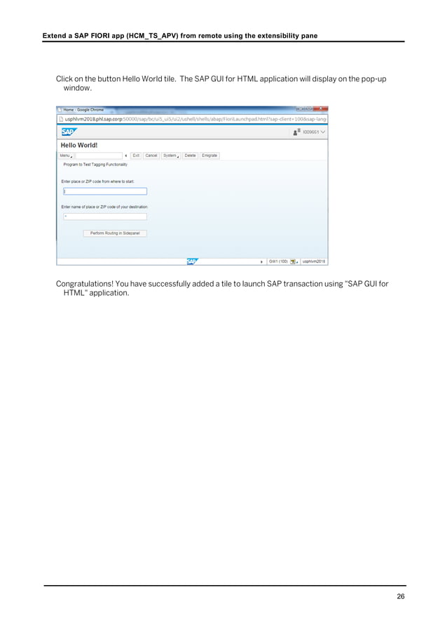 How To Launch Web Dynpro Abap And Sap Gui For Html Application Types