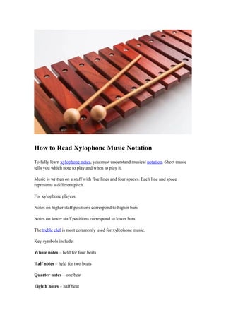 How to Learn Xylophone Notes? Beginners’ Guide | DOCX