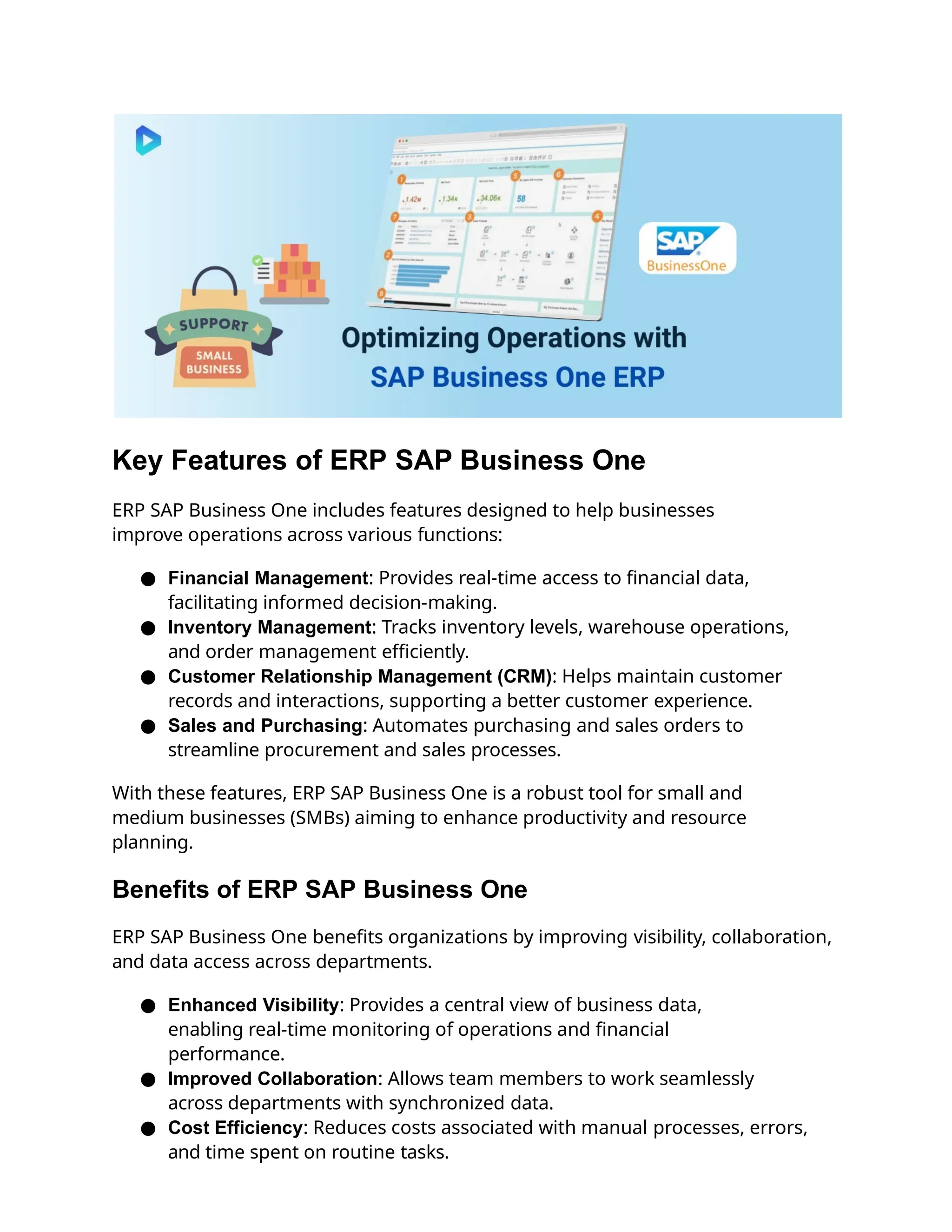 Why SAP ERP is Essential for Streamlined Business Processes | PDF