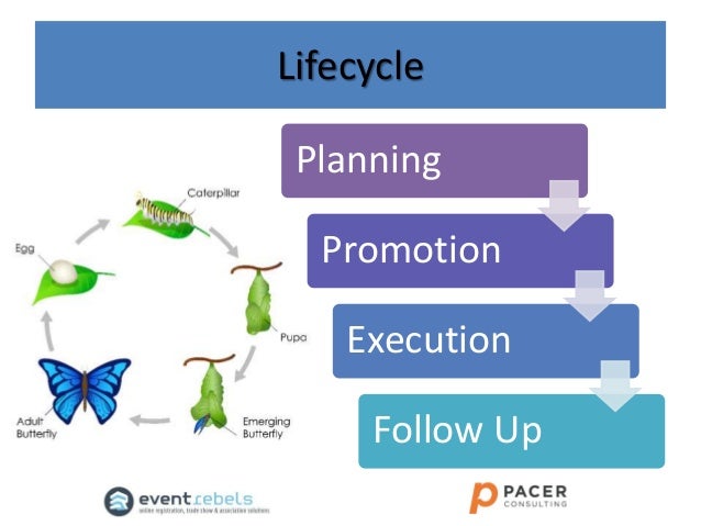 Life Planning Process Event
