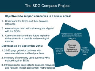 How to leverage the new un sustainable development goals expectations ...