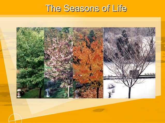 How to live in each season of life ecclesiastes 3 1 11 | PPT
