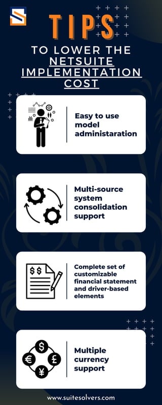 Tips On How To Lower The Netsuite Implementation Cost Pdf