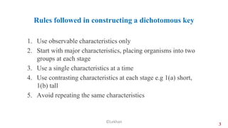How to make a dichotomous key | PPTX