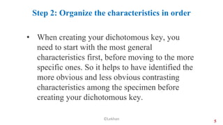How to make a dichotomous key | PPTX