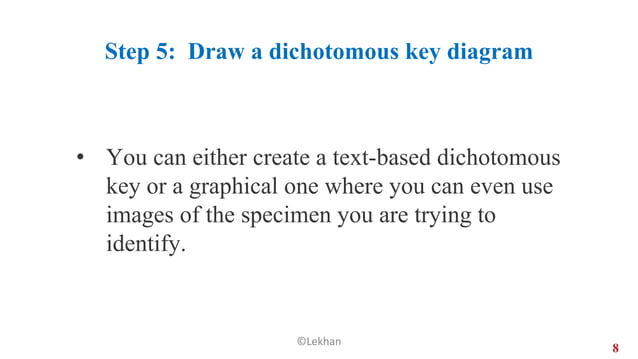 How to make a dichotomous key | PPTX