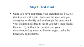 How to make a dichotomous key | PPTX