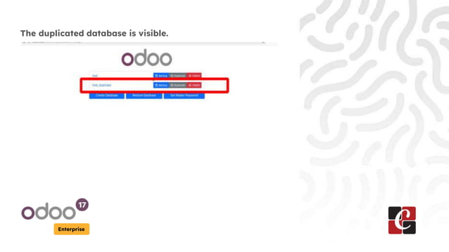 How to Make a Duplicate of Your Odoo 17 Database | PPTX