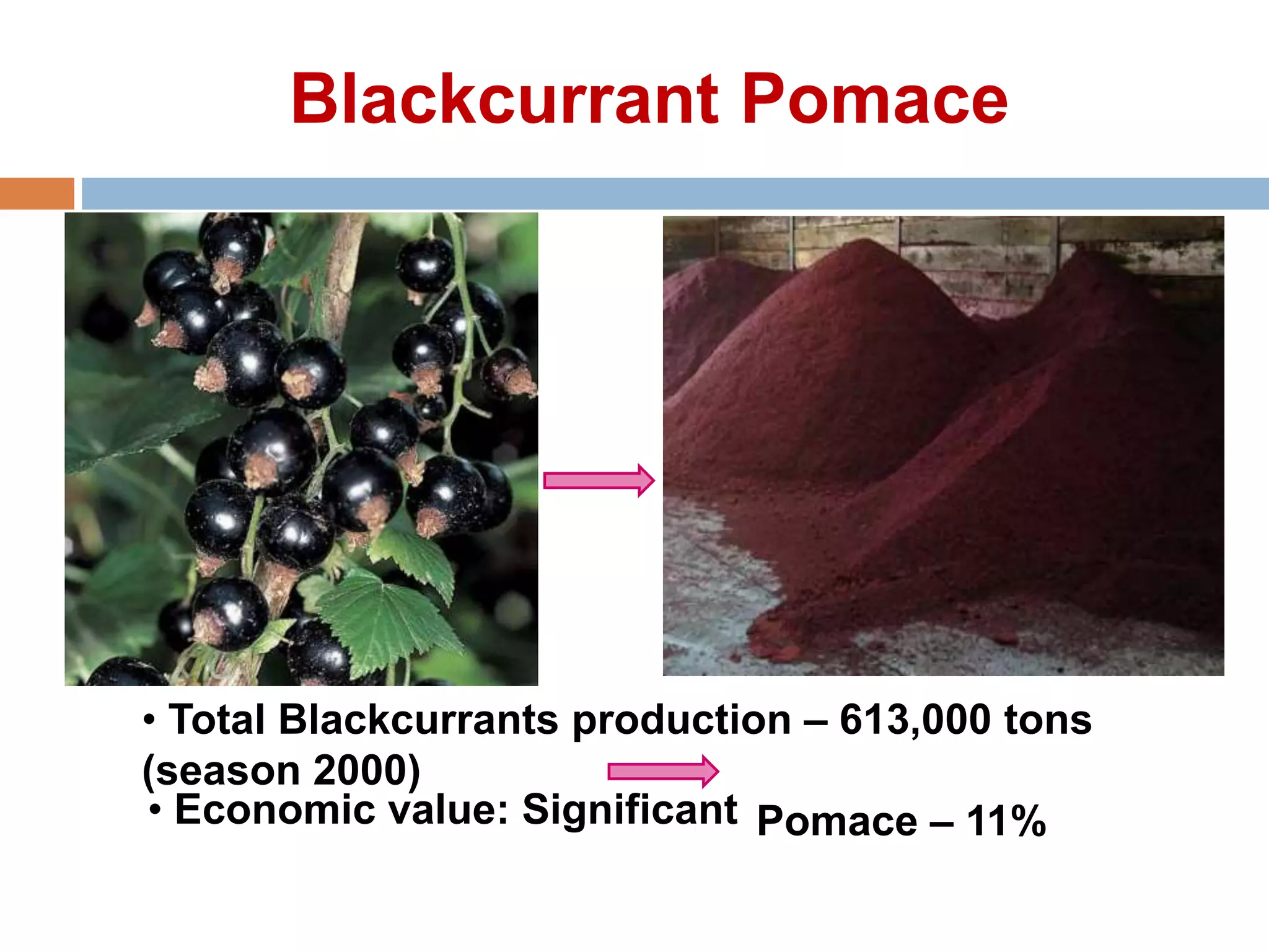 How to make a great fibre based drink using fruit pomace? | PPTX