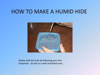 How to make a humid hide | PPT