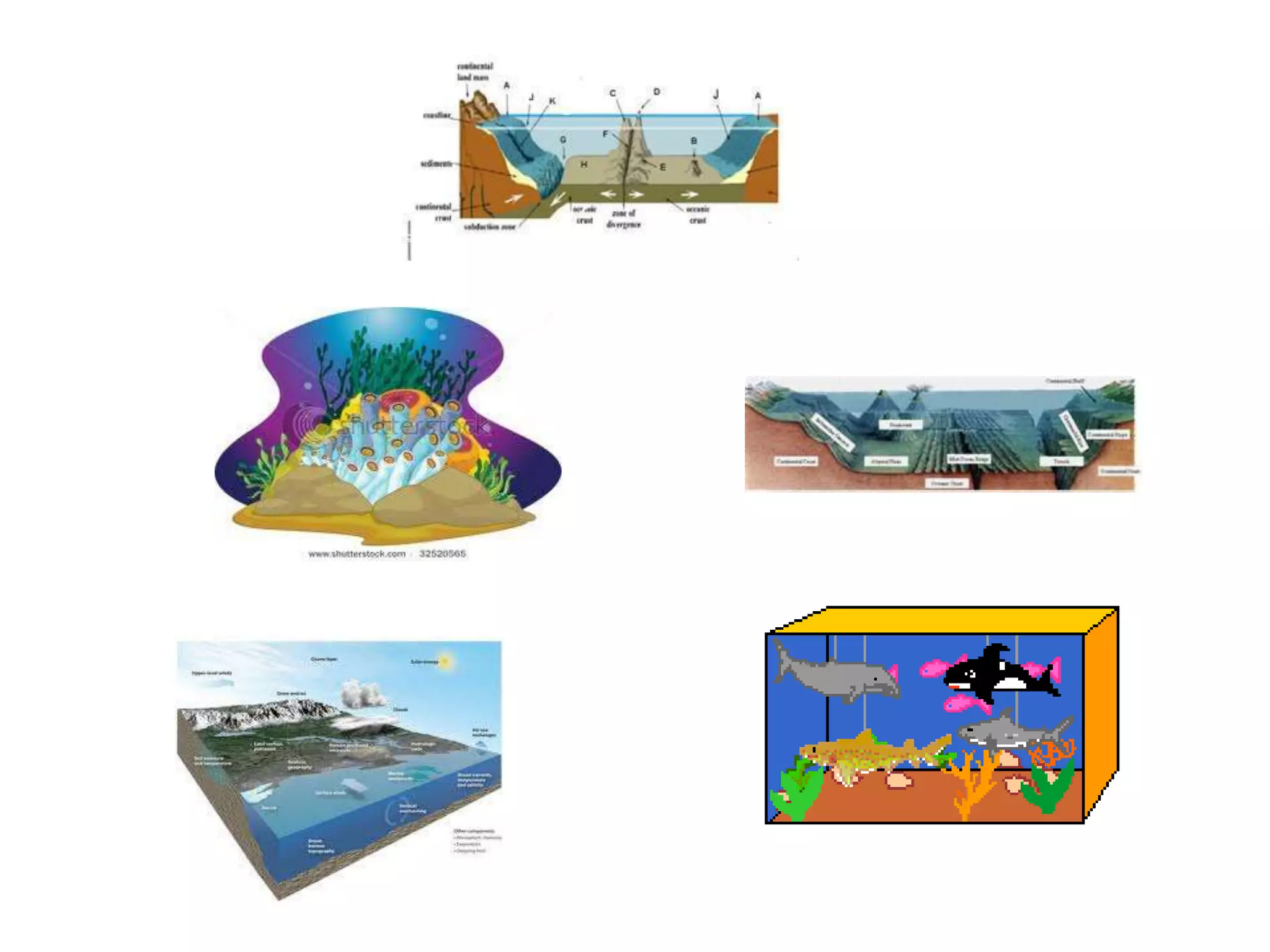 How to make an ocean floor model | PPTX