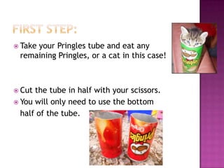 How to make a pinhole camera | PPTX