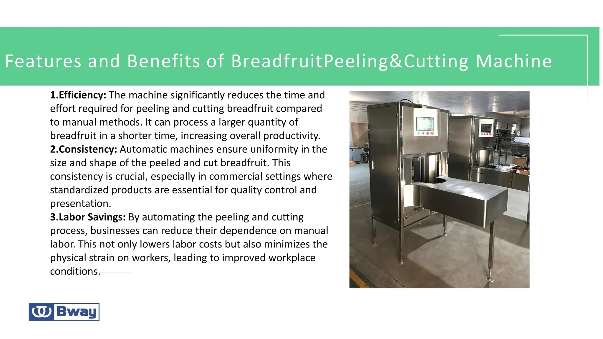 How to make breadfruit flour full guide in 2024.pdf