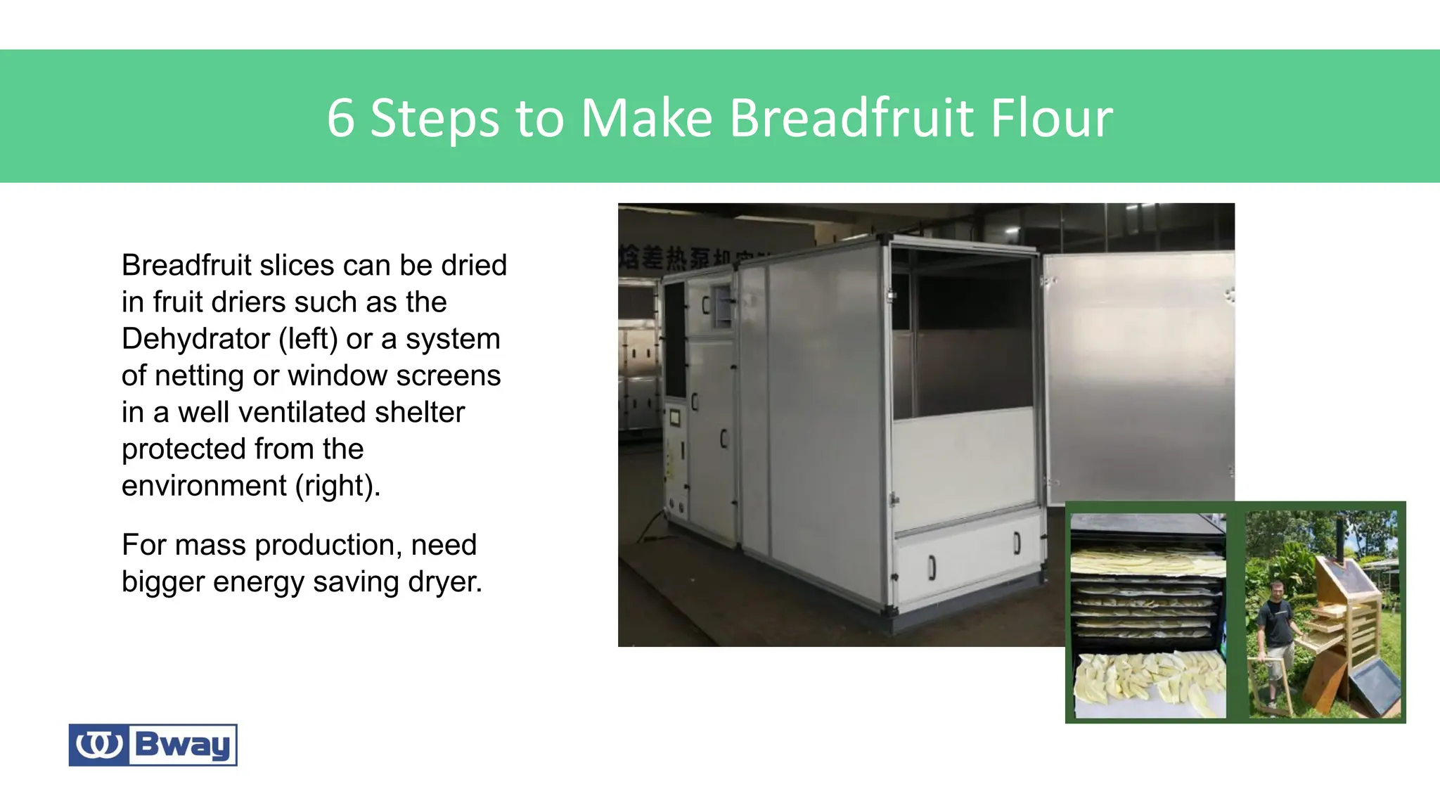 How to make breadfruit flour full guide in 2024.pdf