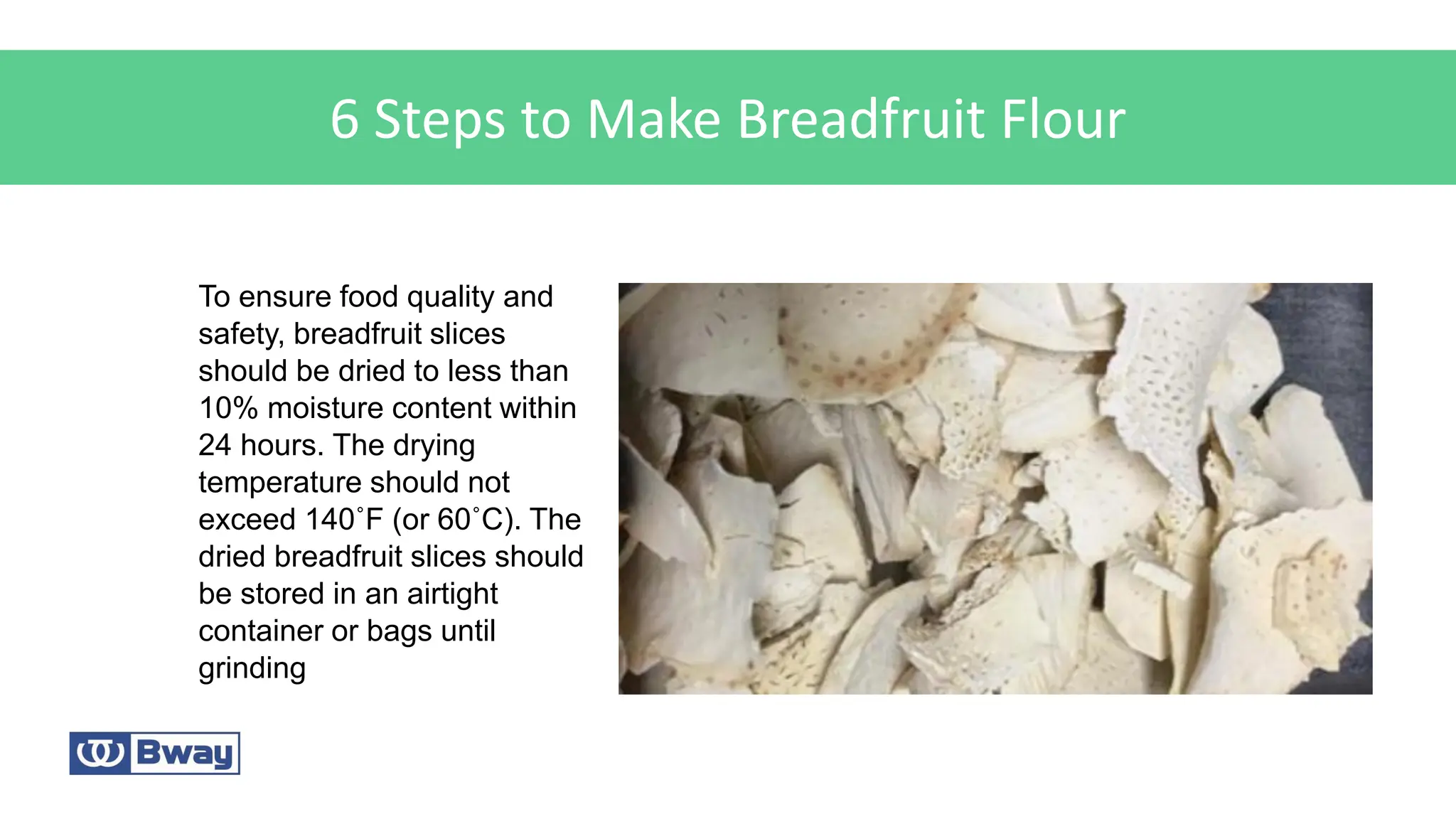 How to make breadfruit flour full guide in 2024.pdf