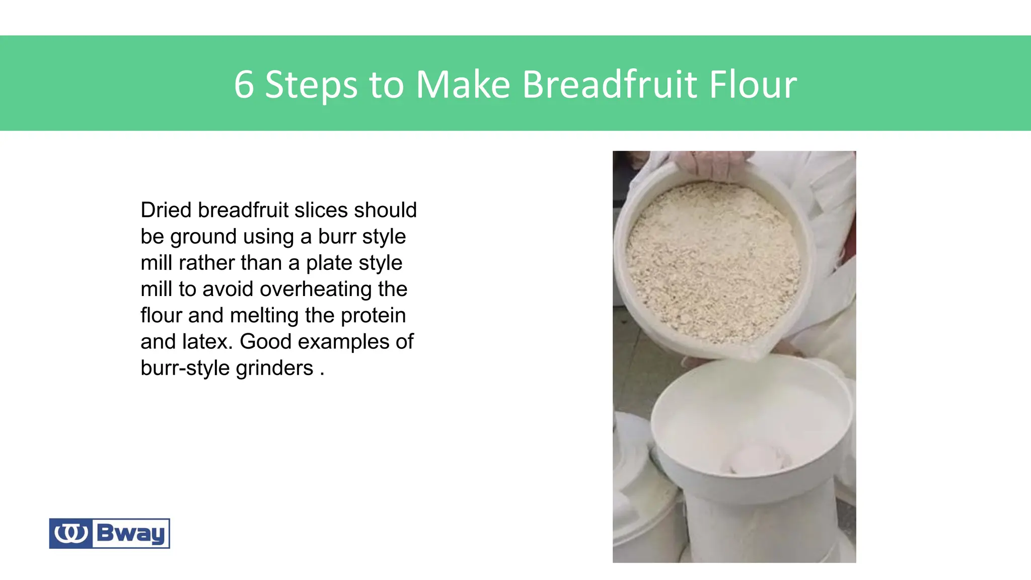 How to make breadfruit flour full guide in 2024.pdf