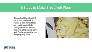 How to make breadfruit flour full guide in 2024.pdf