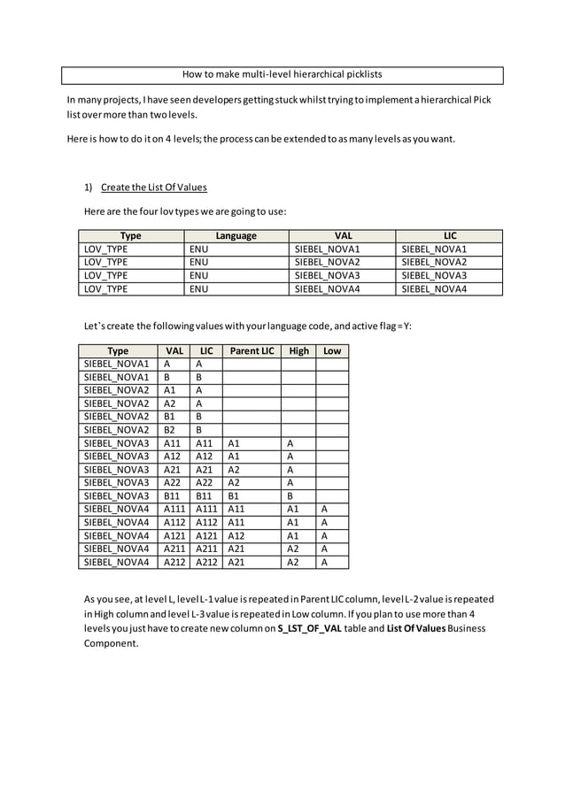 How to make multi level hierarchical picklists in Siebel | DOCX