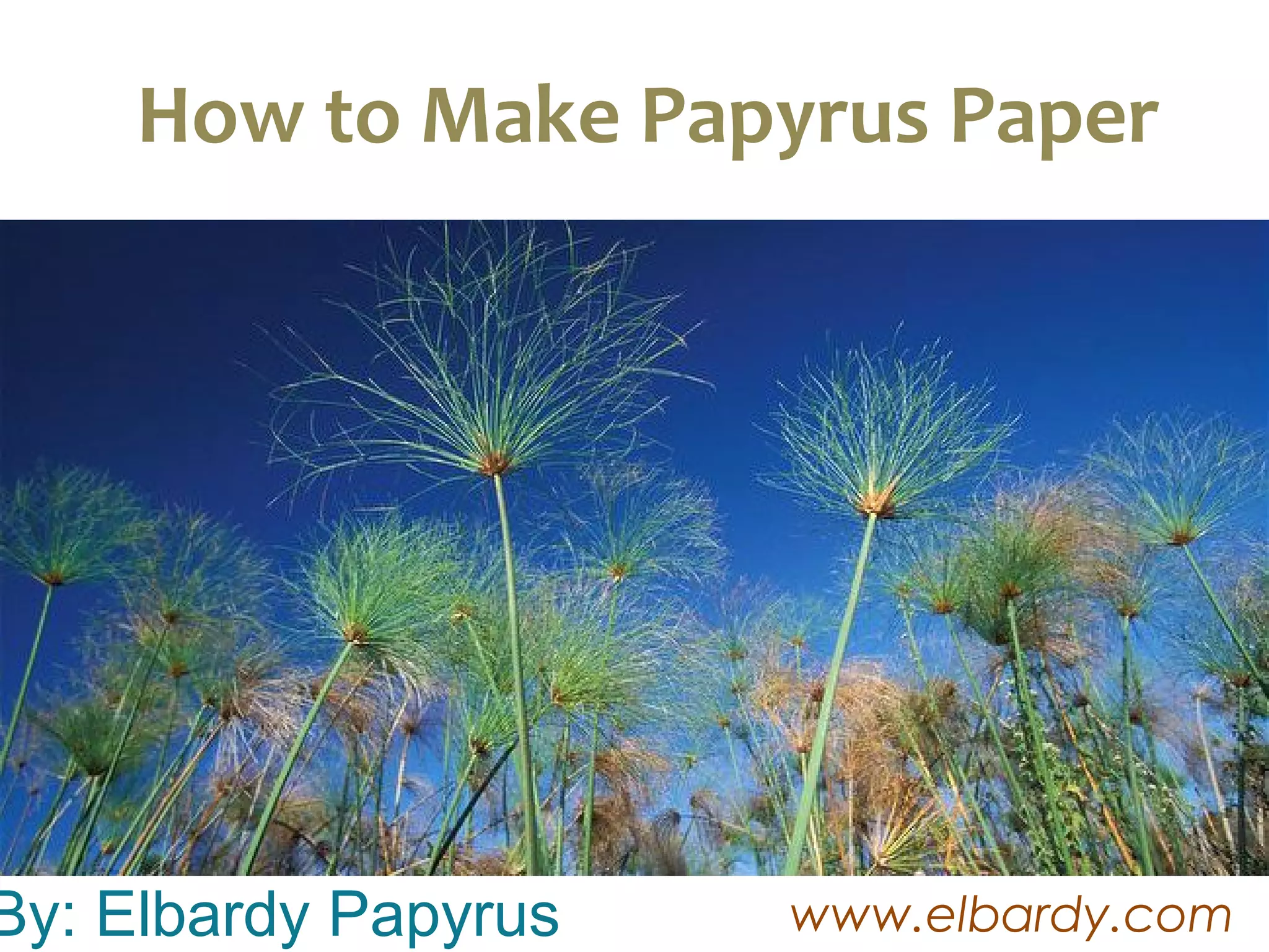 How to make papyrus paper | PPT