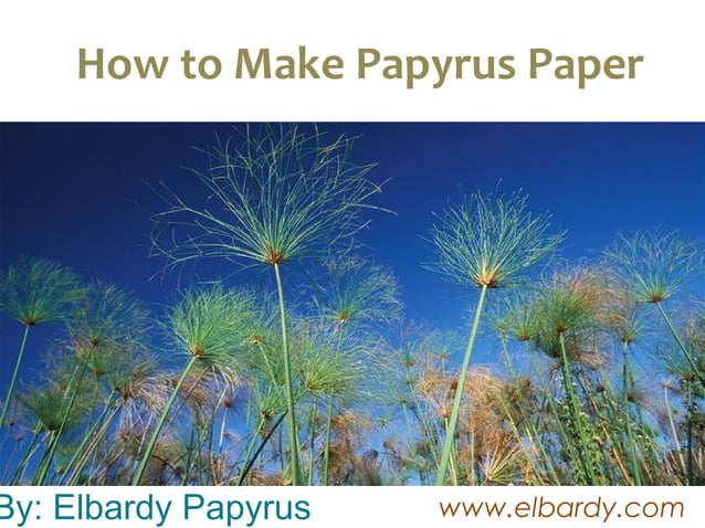 How to make papyrus paper | PPT