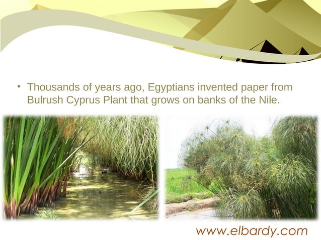 How to make papyrus paper | PPT