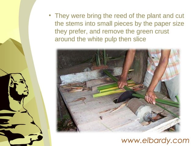 How to make papyrus paper | PPT