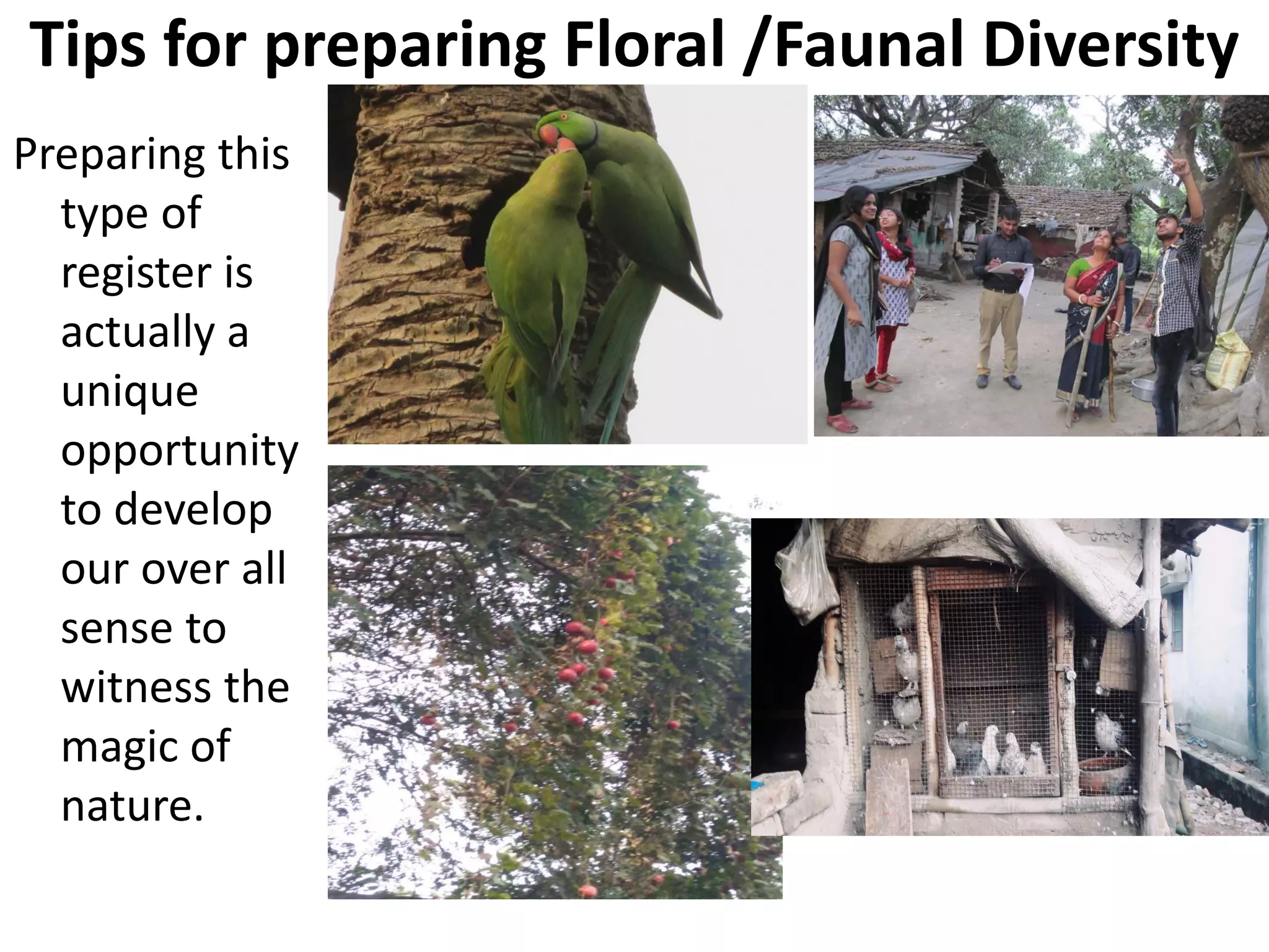 How to make people's biodiversity register | PDF