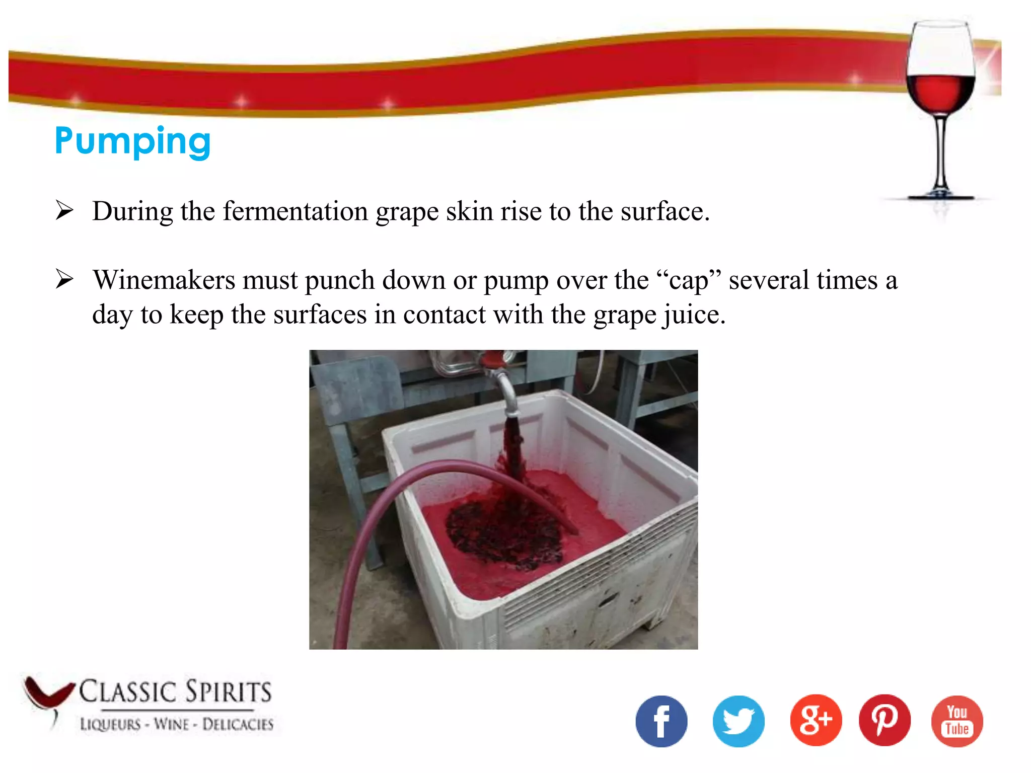 How Red Wine is Made? | PPTX | Alcoholic Beverages | Food & Drink