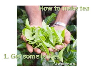 How to make tea ppt | PPTX