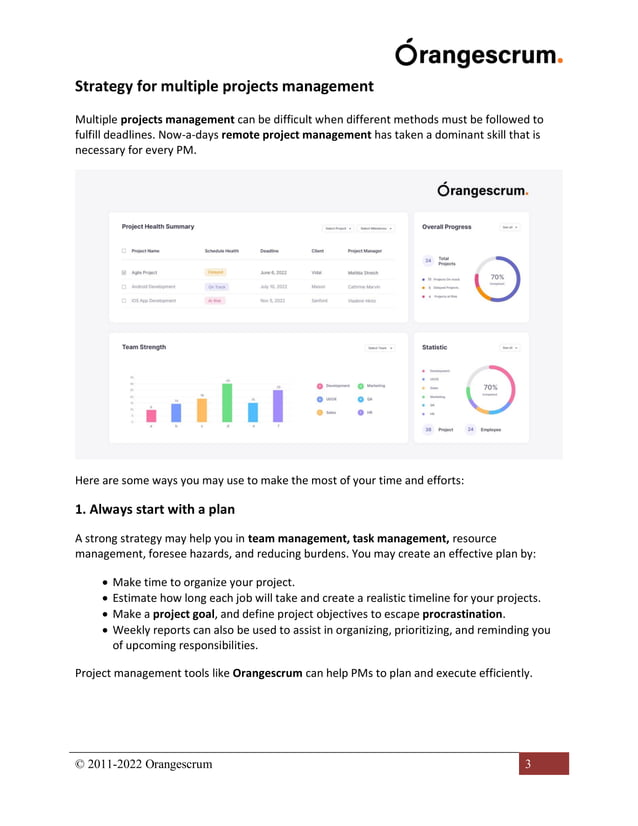 How to Manage Multiple Projects Successfully | PDF