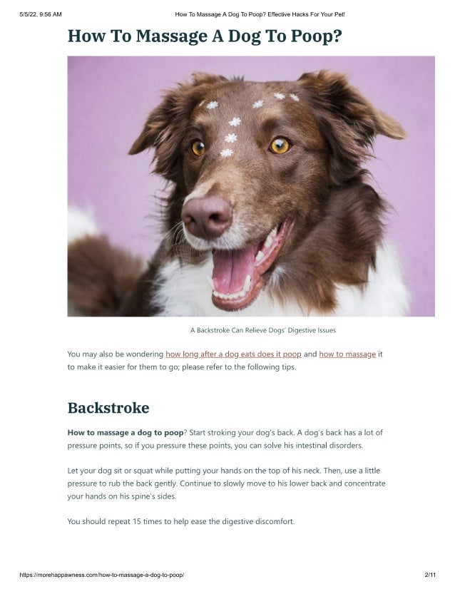 How To Massage A Dog To Poop_ Effective Hacks For Your Pet!.pdf